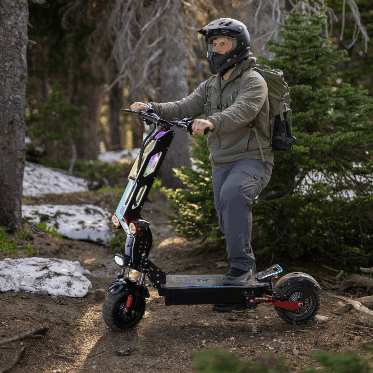 Freego D11 Landtiger Electric Scooter Foldable Dual Motor 4000W ...