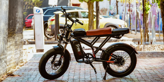 Freegobikes | Powerful Electric Bikes & Electric Scooters Manufacturer ...