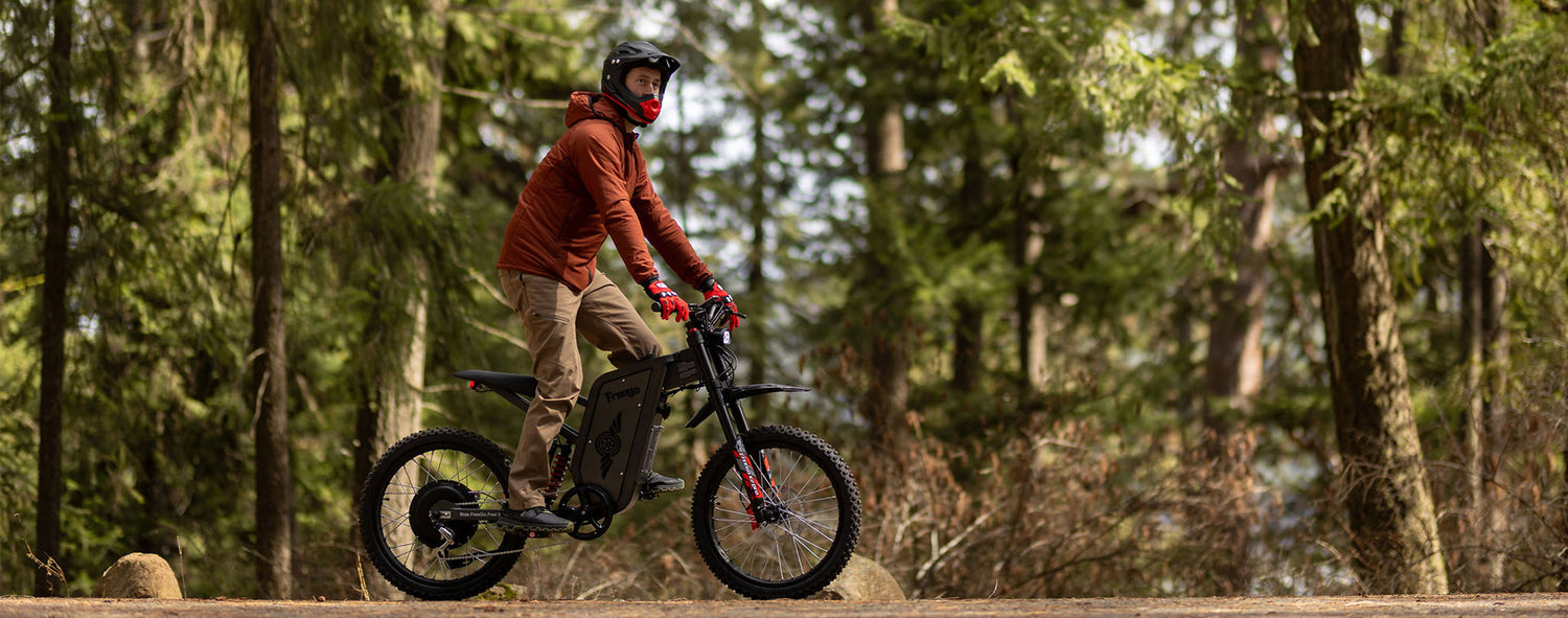 Freegobikes | Powerful Electric Bikes & Electric Scooters Manufacturer ...