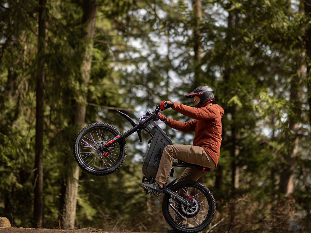 Freego X2 Pro All-Terrain Electric Dirt Bike with Pedals – Freegobikes ...