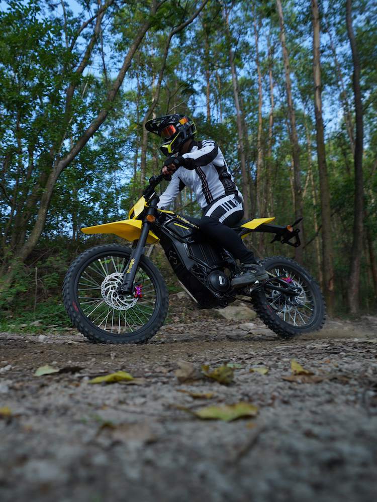 Freegobikes | Powerful Electric Bikes & Electric Scooters Manufacturer ...