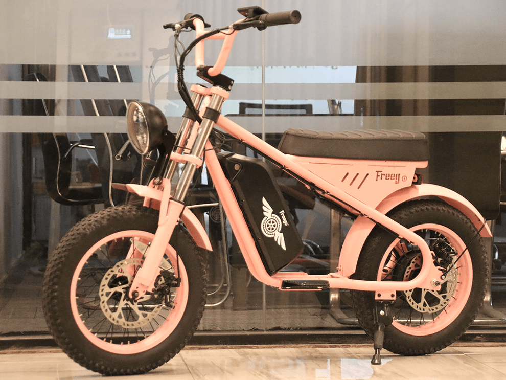 Freego Mini Electric Motorcycle for Child M1 – Freegobikes Official Store